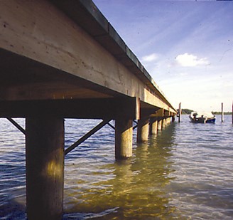 ELF Enterprise Co., Ltd : We treat your wood well